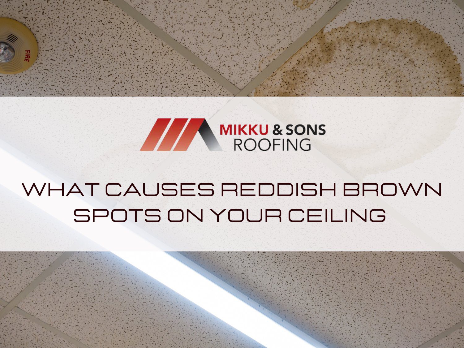 What Causes Reddish Brown Spots on Your Ceiling and How to Fix Them